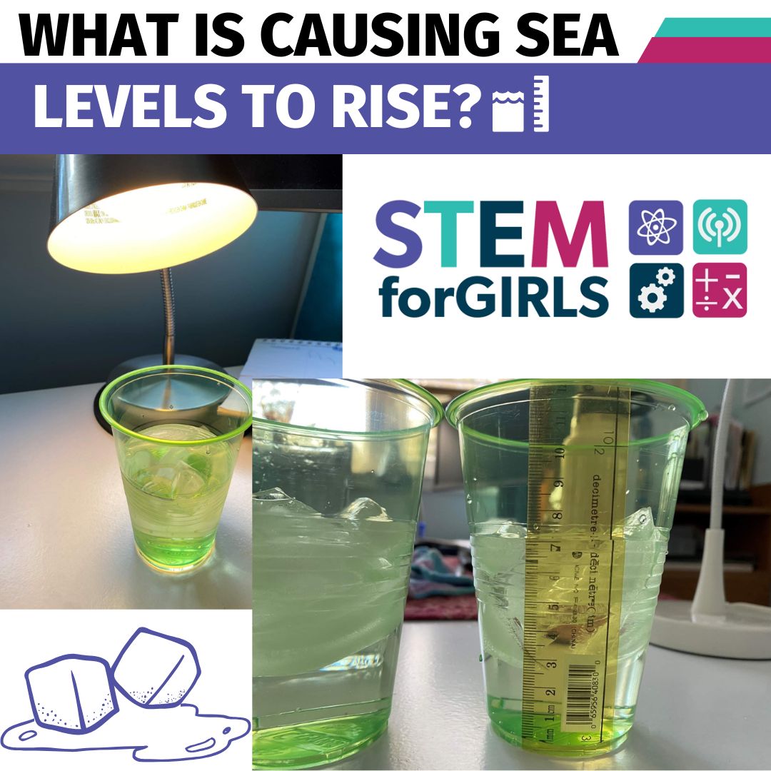 STEM Activity: The Scientific Method & Rising Sea Levels